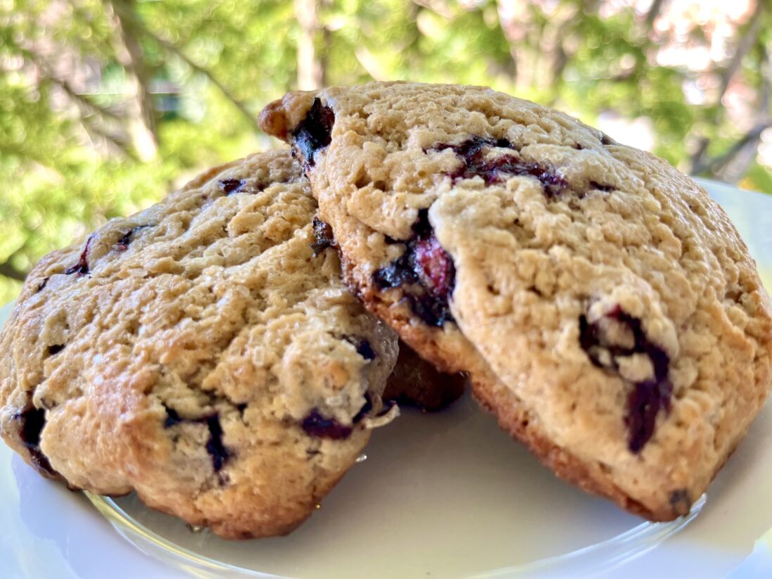 Rustic Blueberry Scones - Baltimore Jewish Times